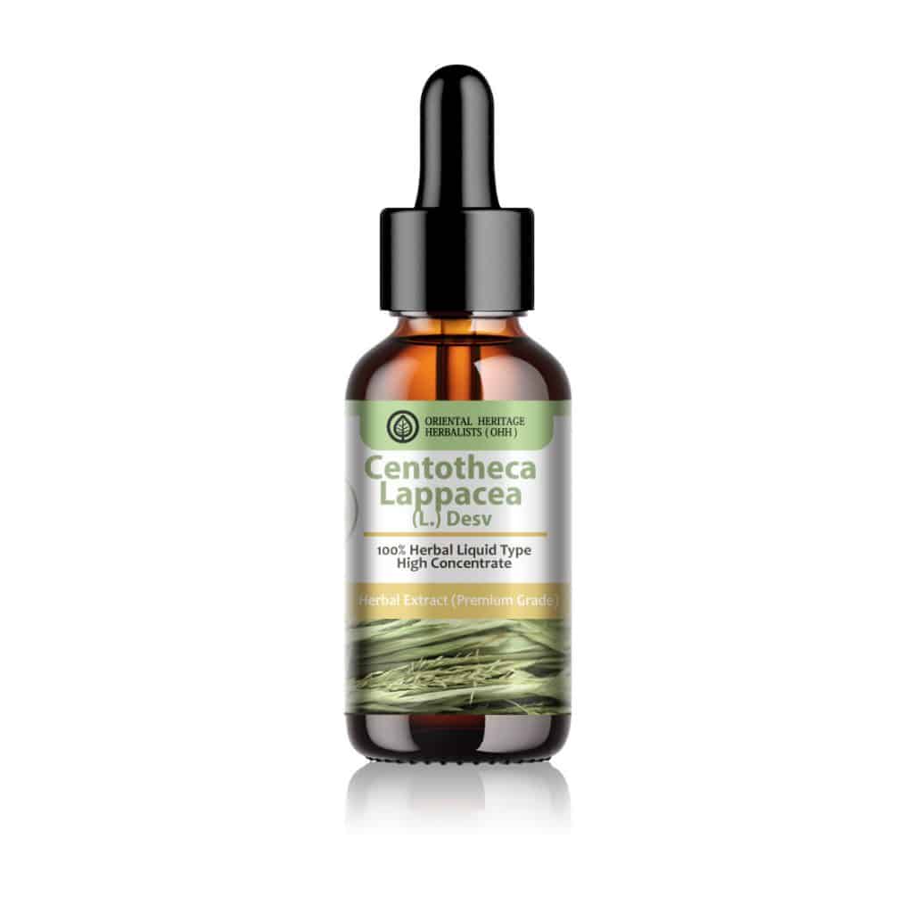 Centotheca Lappacea Extract in Liquid Type 25 ml.